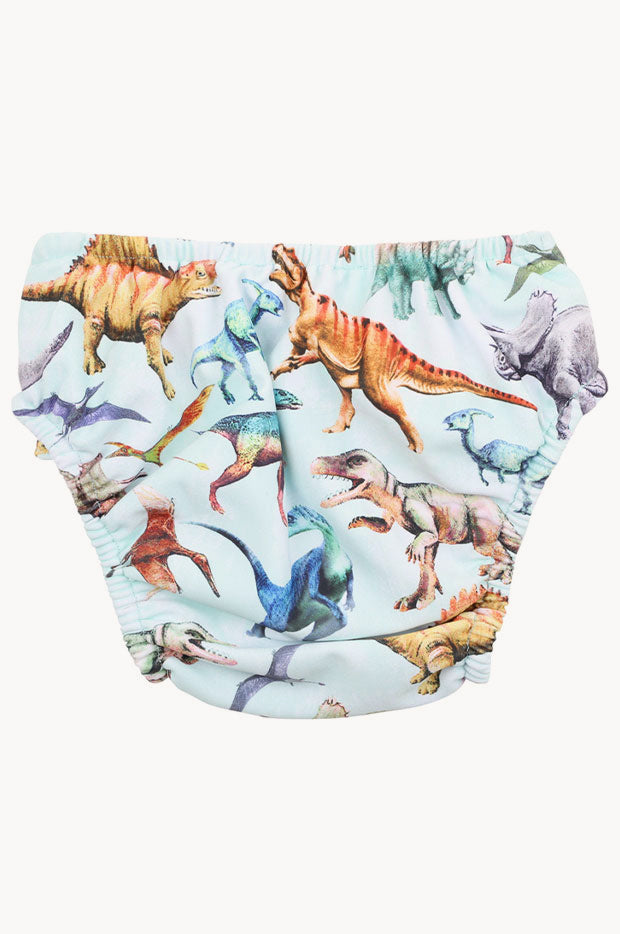 Minihaha - Toddler Boys Rex Swim Nappy - Mint | Swimwear Galore AU
