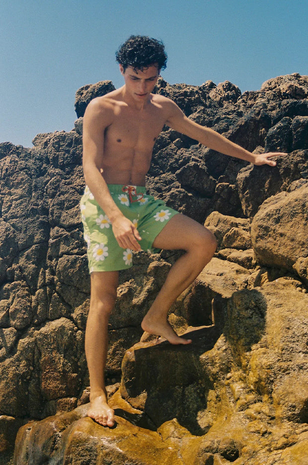 Coast - Mens Daisy Classic Boardshort - Lime | Swimwear Galore AU