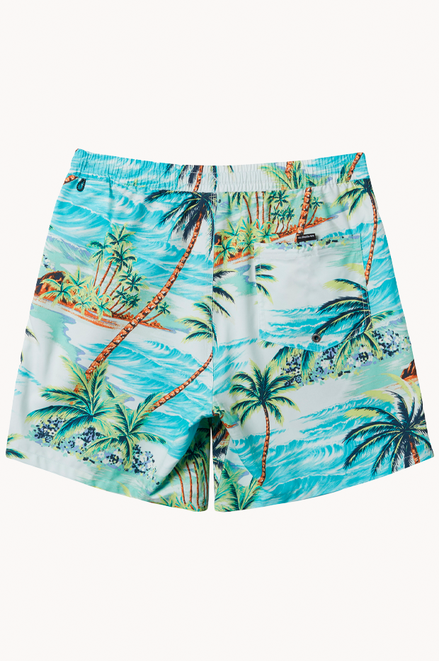 Quiksilver Boys Everyday Mix 14" Volley Boardshort | Swimwear Galore US