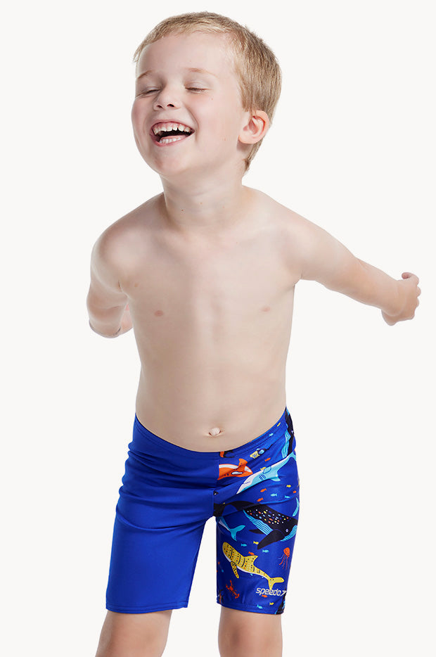 Speedo - Boys Shark Jammer - Cobalt | Swimwear Galore AU