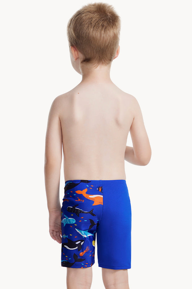 Speedo - Boys Shark Jammer - Cobalt | Swimwear Galore AU