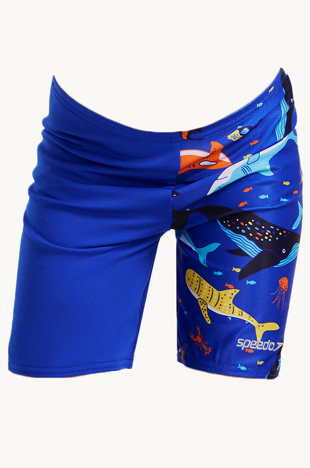 Boys Shark Jammer – Swimwear Galore
